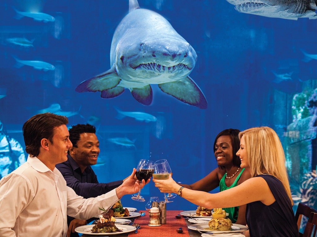 Five Awe Inspiring Restaurants Where You Can Dine With Sea Life